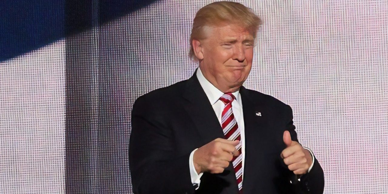 Donald Trump and the ‘moron in a hurry’ trademark rule | Shift Law